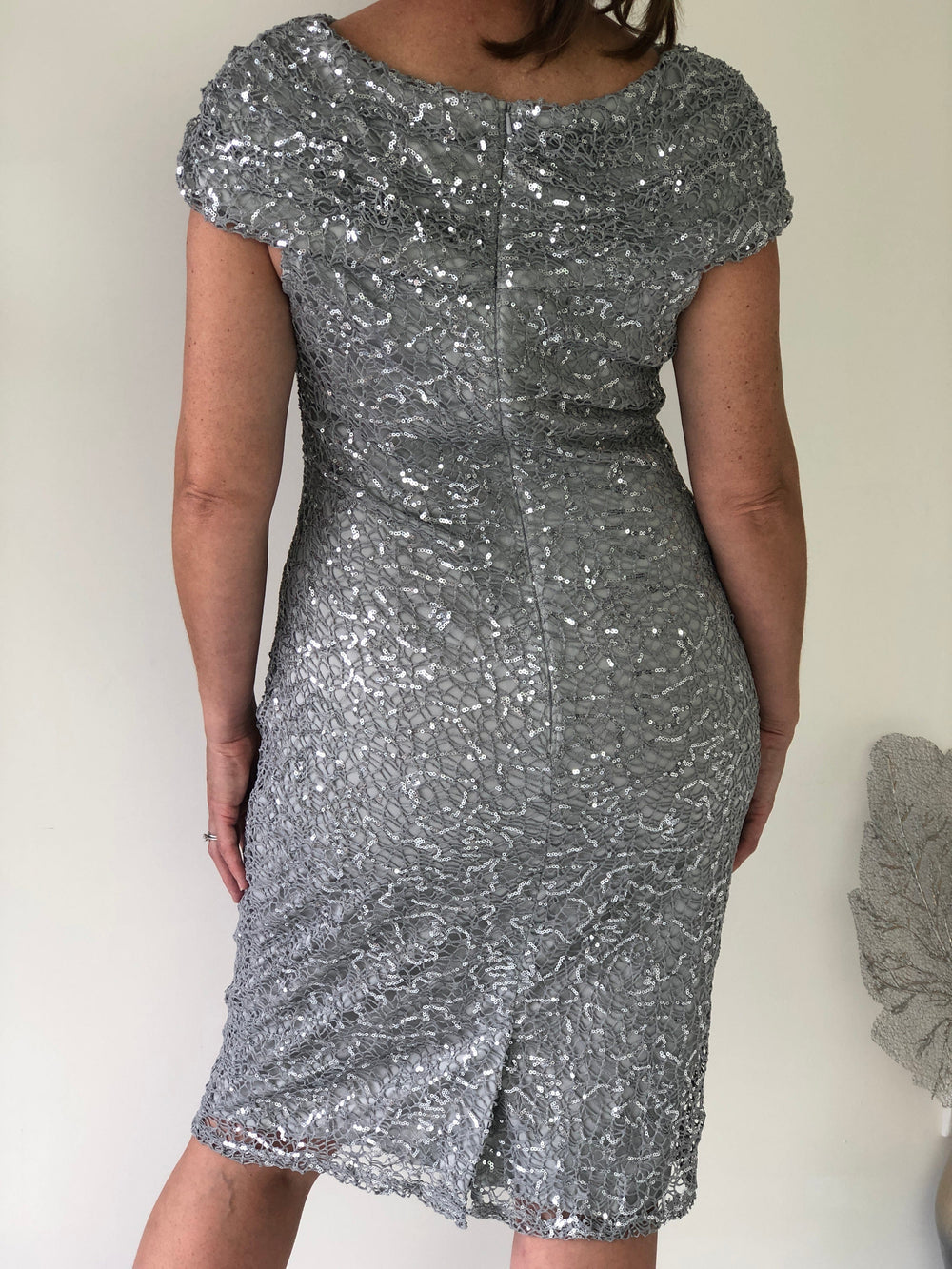 Rosmin Silver Evening Dress – Dressxox